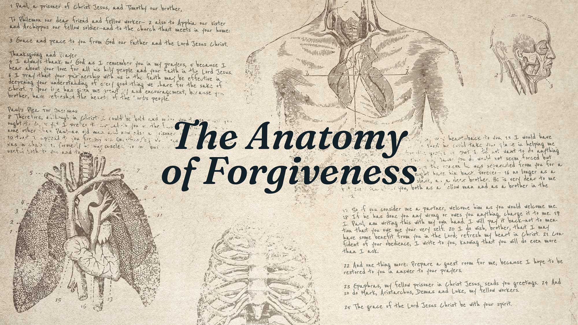 The Anatomy of Forgiveness – Emmanuel Faith Community Church